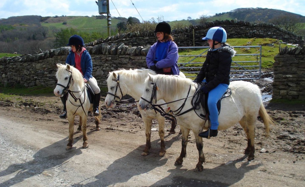 South Wales Pony Trekking | Horse Riding Brecon Beacons | Wales Cottages